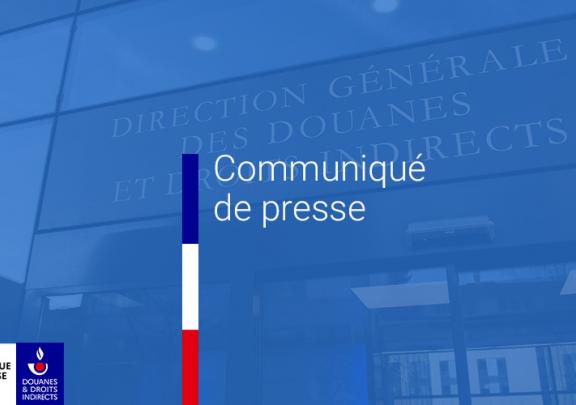 Professionnels | Portail de la Direction Générale des Douanes et Droits ...