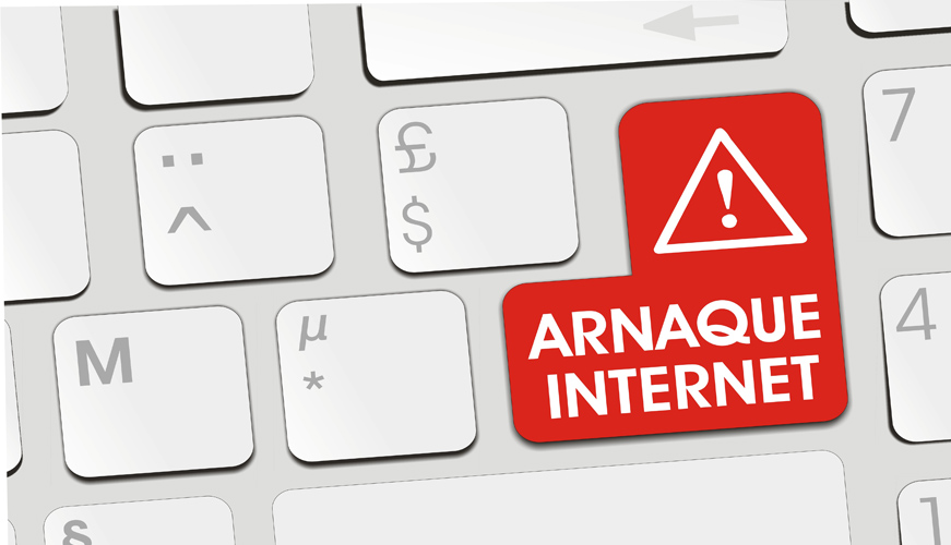 Alerte arnaque internet - La direction générale des douanes et droits ...